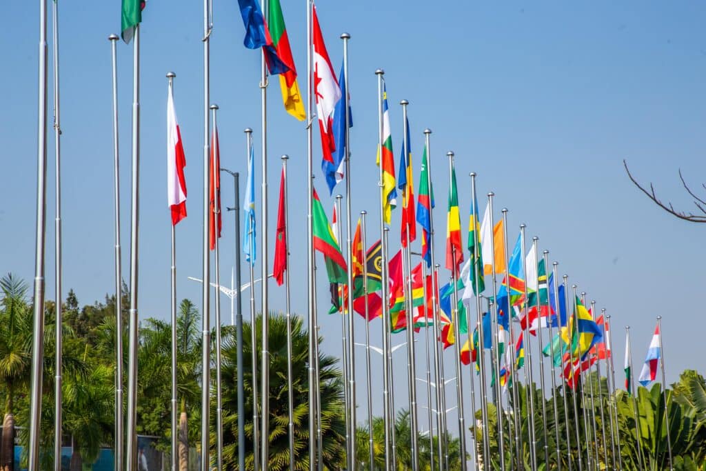 Organisation et fonctionnement — AIMF