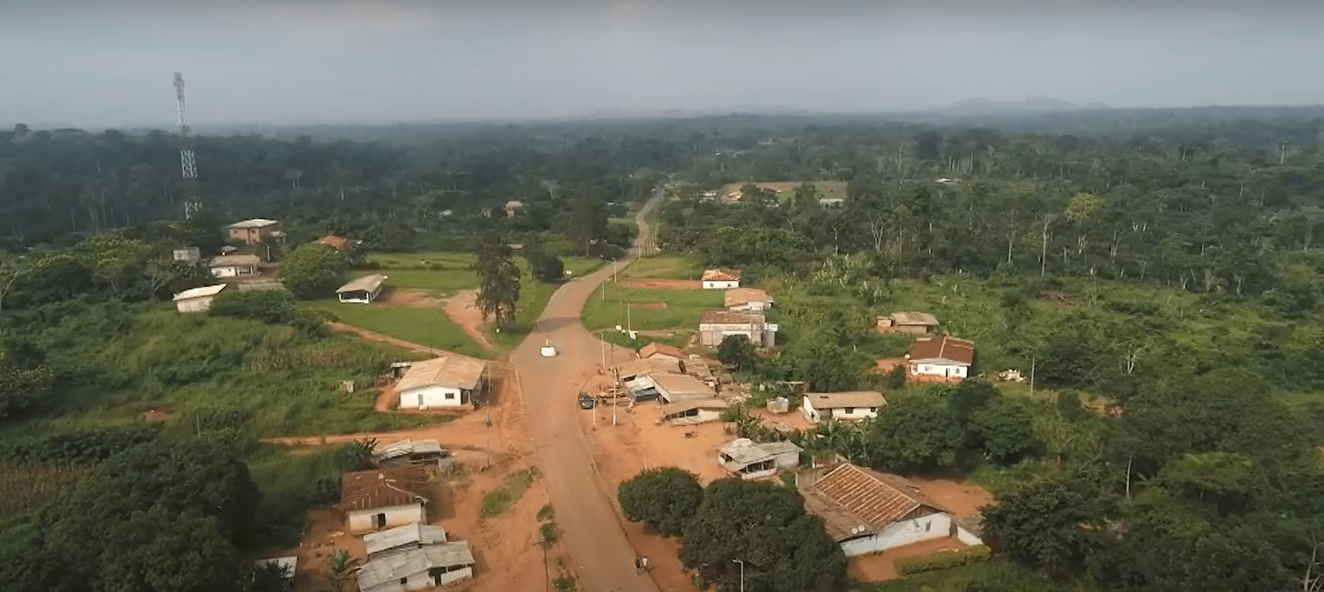 CAMEROUN - Focus pays — AIMF